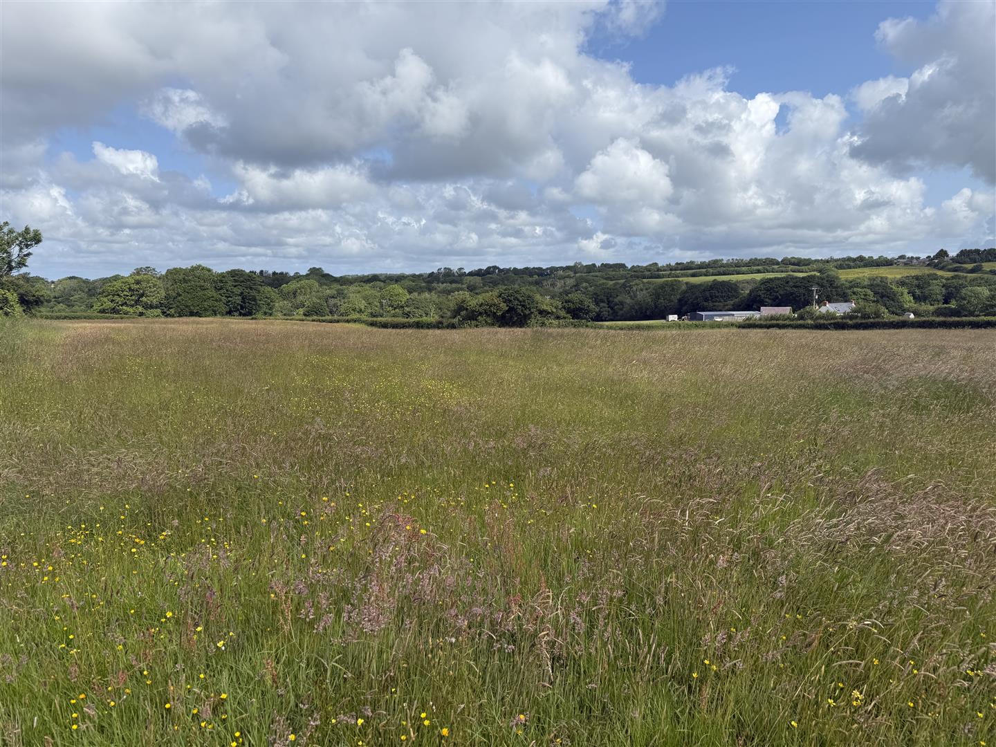8.5 Acres Martletwy, Narberth – JJMorris